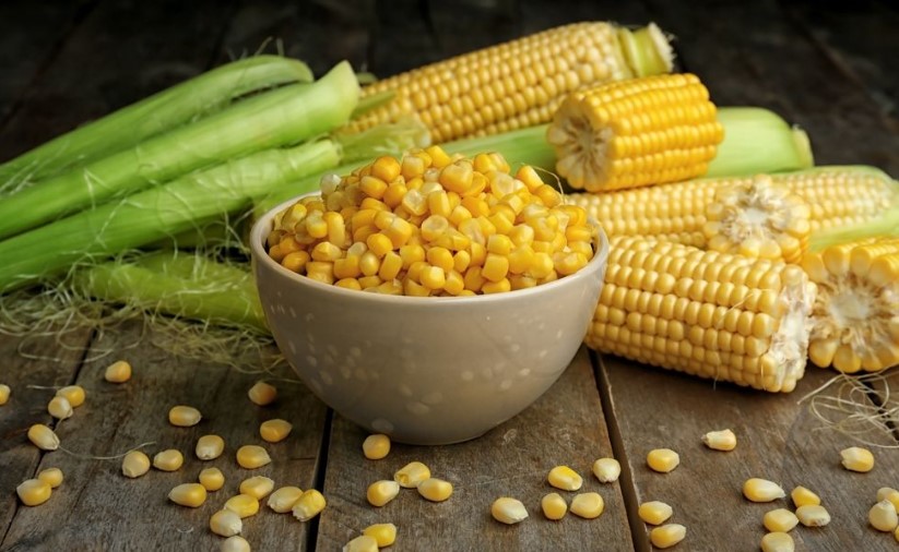 Përfitimet shëndetësore të misrit - Dukagjini