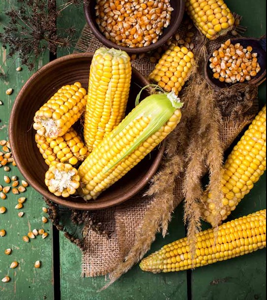 Përfitimet shëndetësore të misrit - Dukagjini