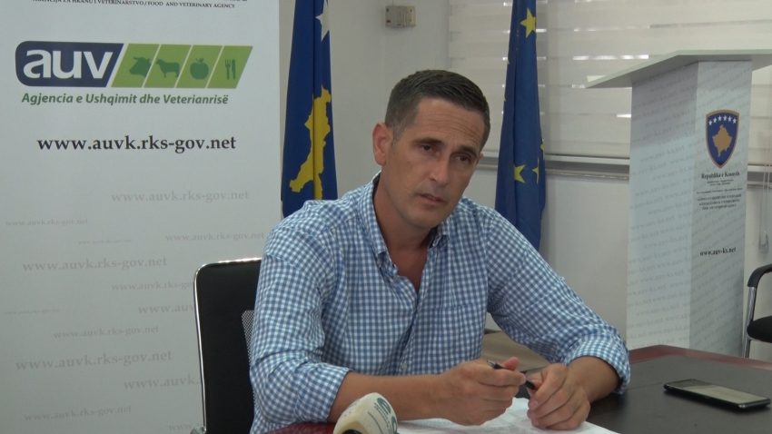 Heta: Murtaja afrikane e derrit s’përhapet te njeriu, u asgjësuan të ...